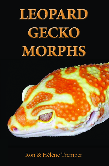 LEOPARDGECKO.COM